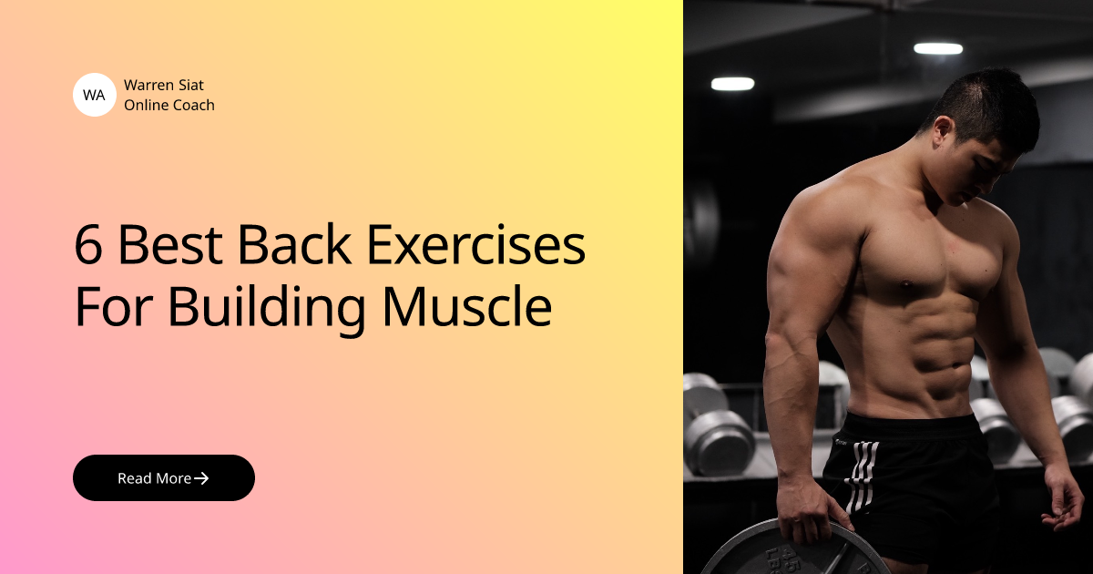 6 Best Back Exercises For Building Muscle